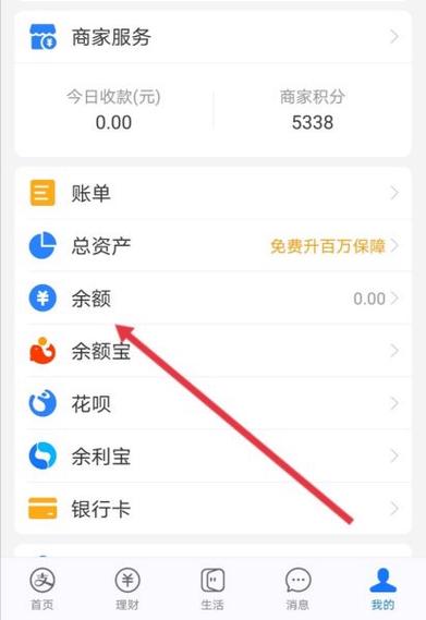 支付宝里的余额在哪里看到图标