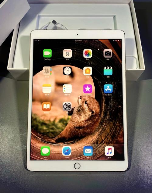 ipad2017不能用笔吗图标