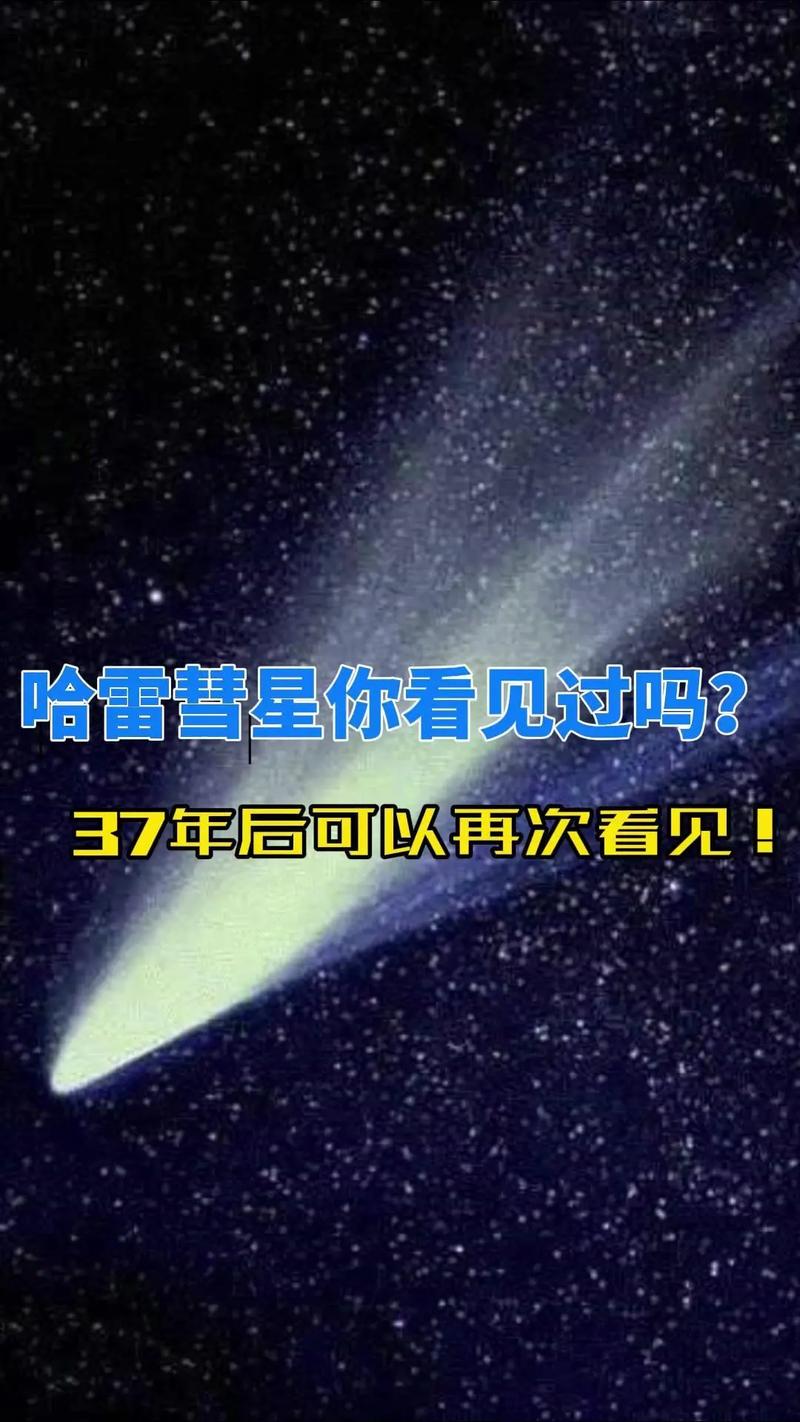 比特彗星历史版本图标