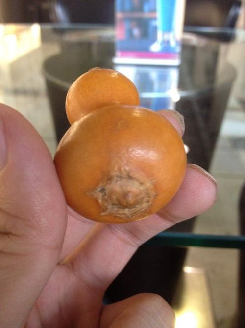 葫芦生长纹算瑕疵吗缩略图