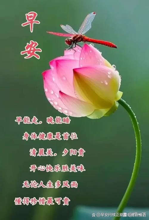 每天都想和陌生男人在一起图标