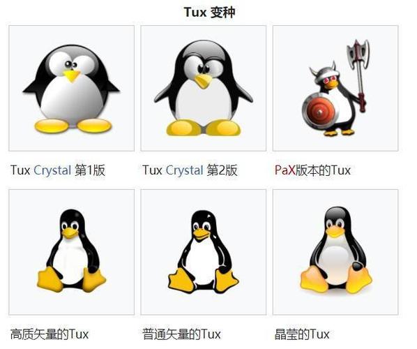 小企鹅app官方下载图标