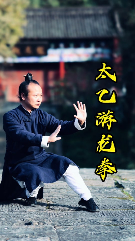 《游龙拳》最好听的音乐归图标