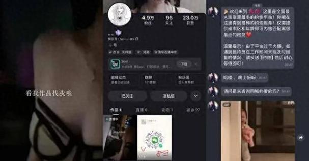 快手黑色产业