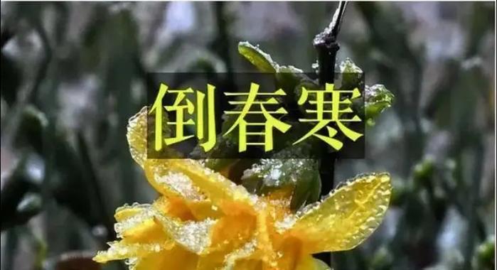 乍暖还寒是什么季节图标