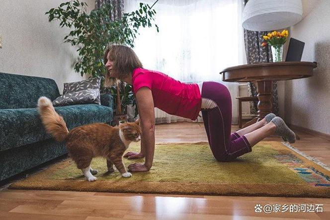 猫模仿主人的行为图标