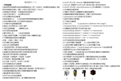 我的世界试题卷截图