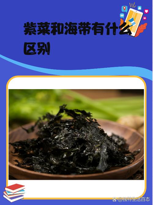 紫菜和海带有什么区别截图