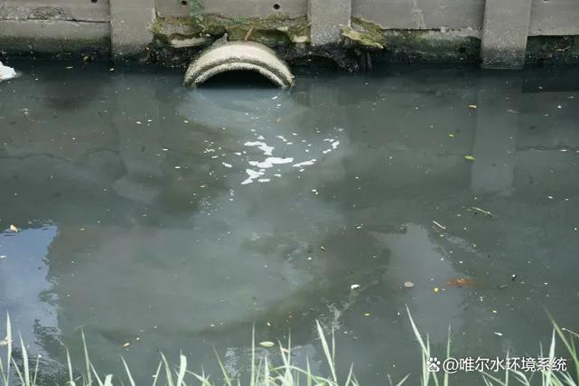 城里的水很深截图