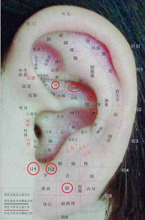 积目位置截图