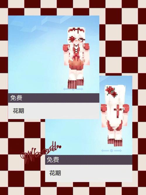女生mc皮肤介绍图标