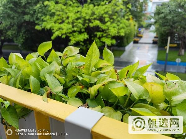 华为mate40pro拍照对比p50pro图标