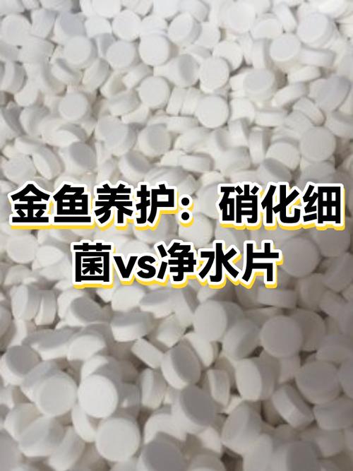 净水片原理图标