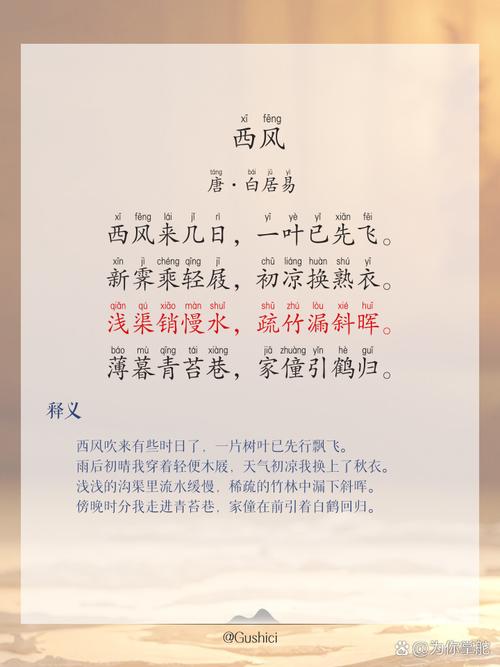 西风小说安卓版截图
