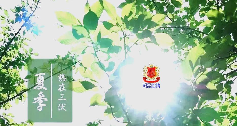 夏日最热三伏天图标
