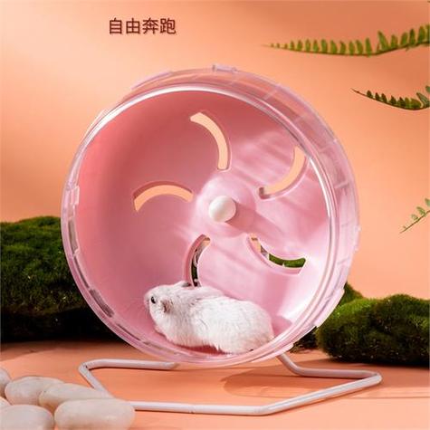 养仓鼠必备的东西有哪些