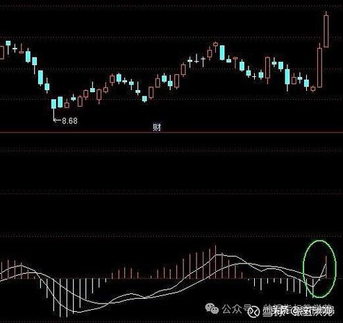 在哪里设置涨幅选股公式截图