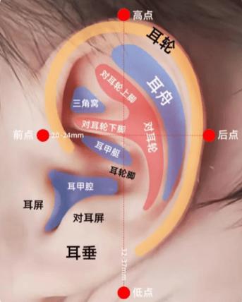 耳朵听得见但是听不清图标