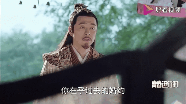 择天记有容成亲番外图标