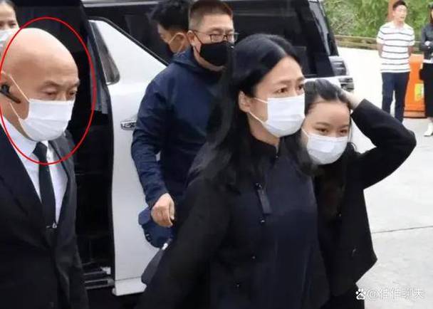 刘招华子女游戏截图