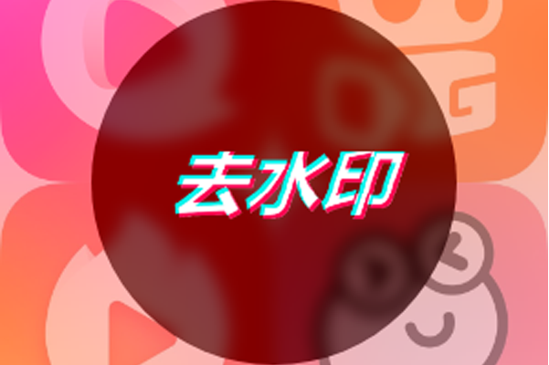 皮皮去水印小程序图标