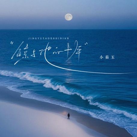 鲸和他的十年表达什么图标