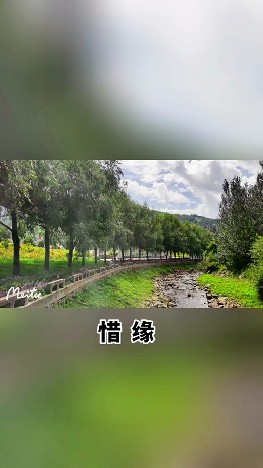 惜缘的绝美佳句图标