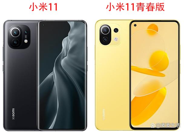 小米十一青春版和小米十一的区别截图