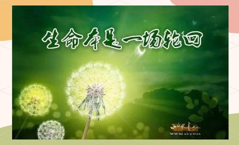 死亡计算器,寿命计算器图标