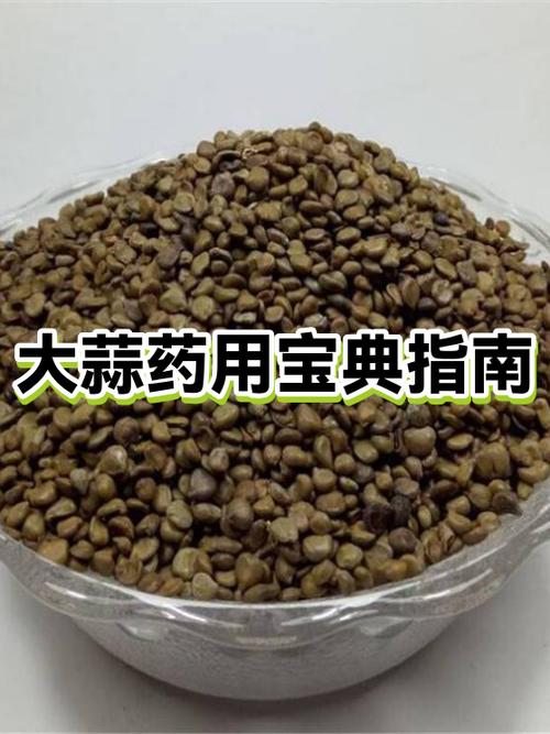蒜子水怎么做截图