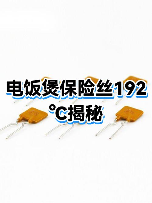 电饭煲保险丝什么代替图标