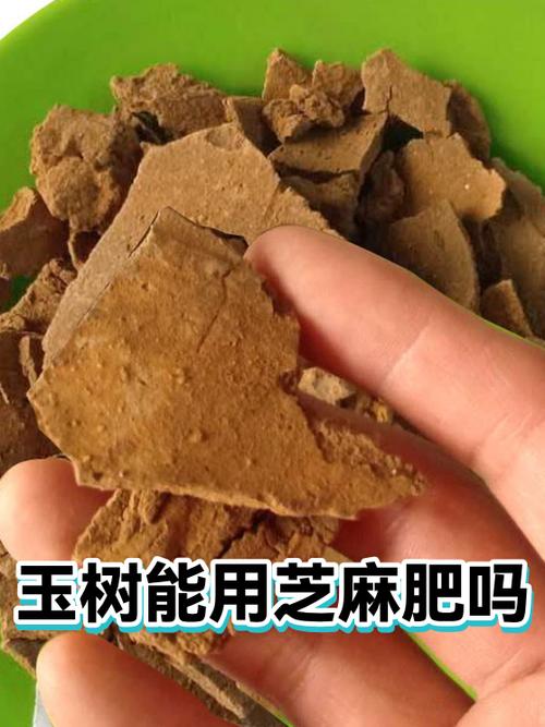 芝麻肥料最好的三种图标