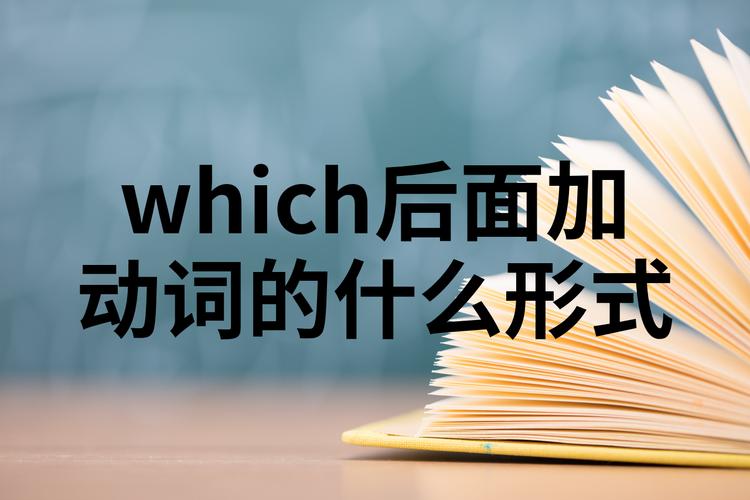 who后面跟什么形式截图