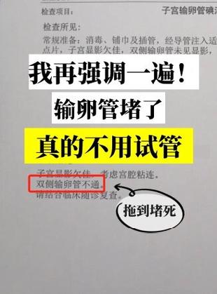输卵管堵塞能试管吗截图