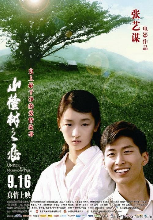 山楂树之恋谁唱的好听图标
