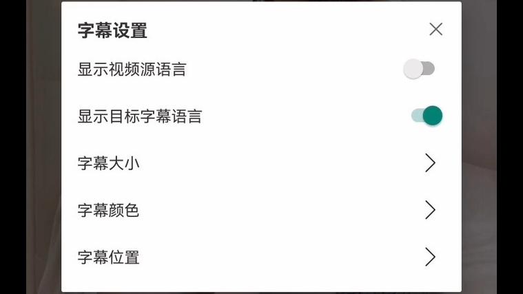 vivoai字幕实时翻译图标