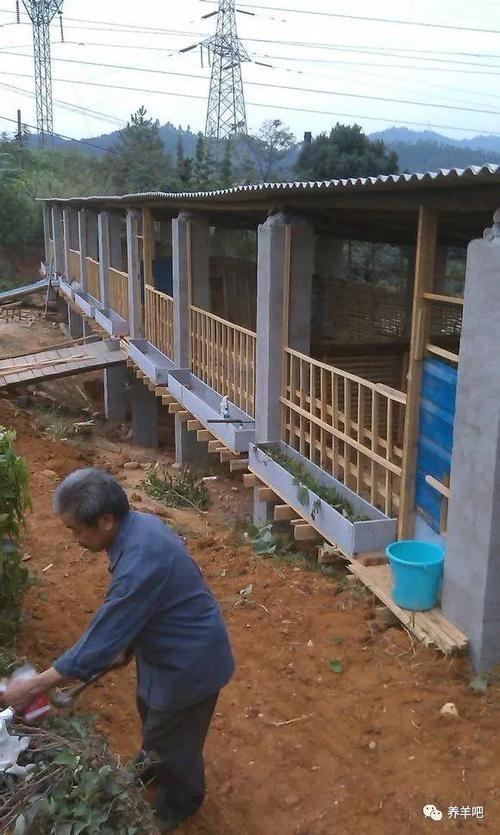 羊圈设计 羊舍建造图片图标