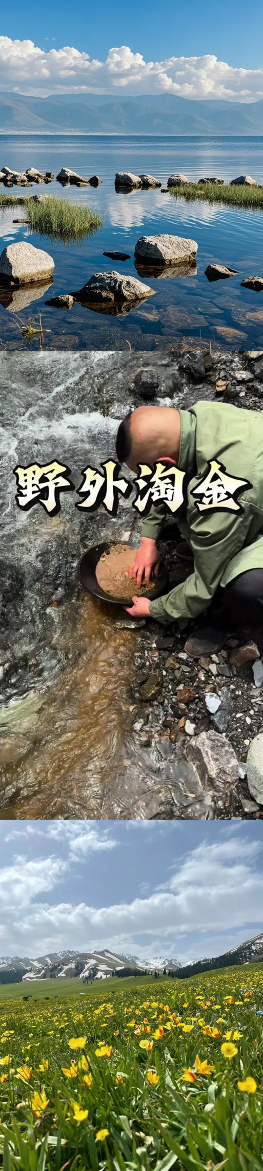 淘金短视频图标
