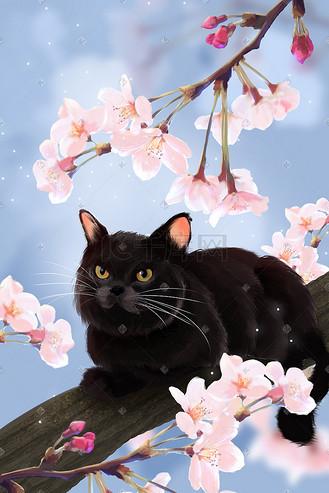 黑猫动漫樱花图标