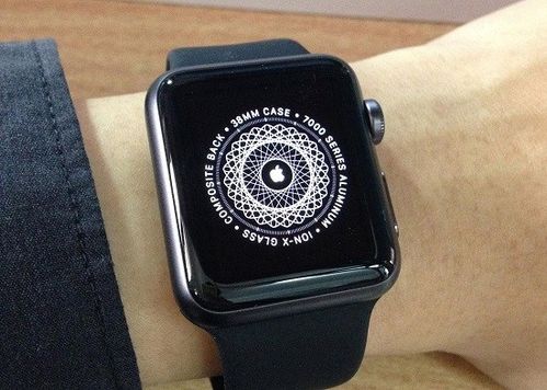 apple watch配对新手机图标