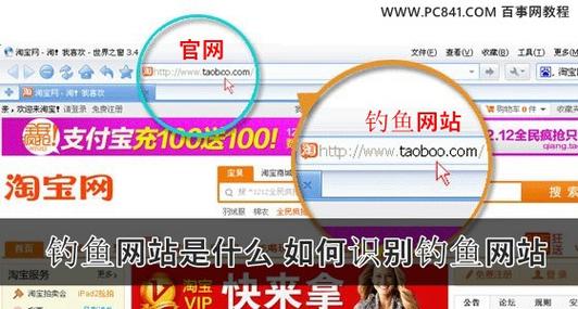 钓鱼网站入口图标