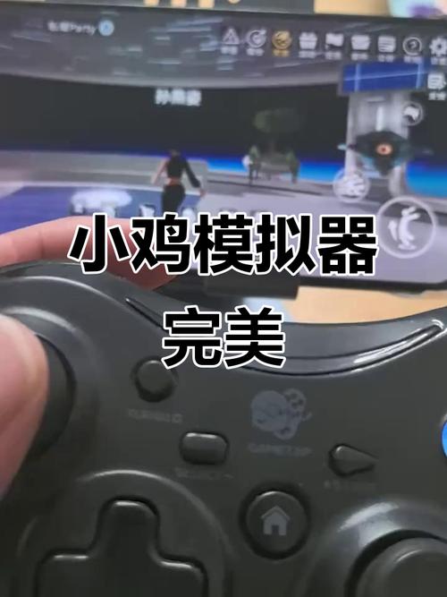 小鸡模拟器电脑版怎么用键盘图标