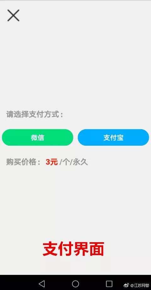 订单支付截图