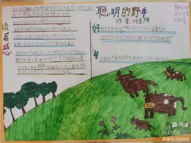野牛阅读纯净版图标