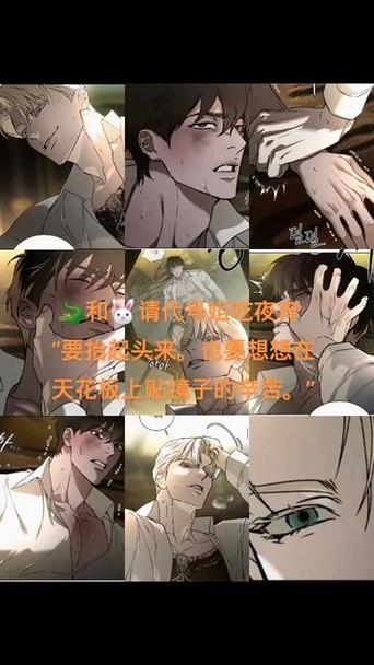 代号韩漫免费阅读下拉式漫画截图