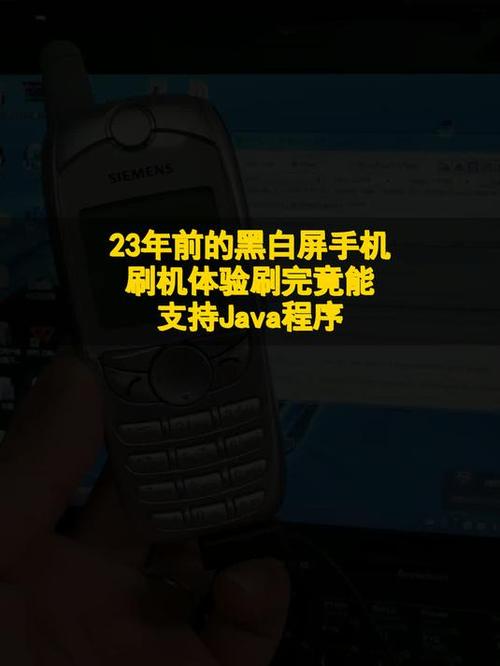 手机屏幕变成黑白色了怎么回事图标