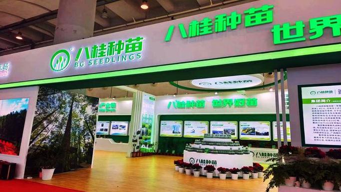 八桂教学通app软件介绍图标