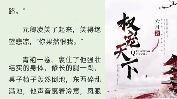 权宠天下全文免费阅读穿越小说图标
