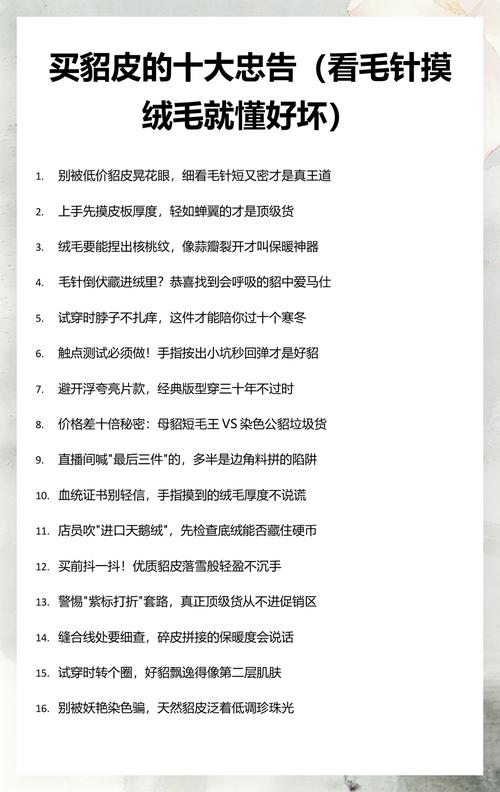 买貂皮的十大忠告图标