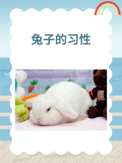 同志兔子图标